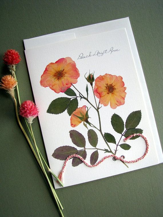 Pressing Flowers For Card Making Card Making World